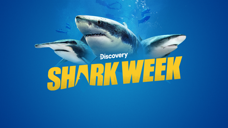 Shark Week Preview: Schedule, Shows, and More