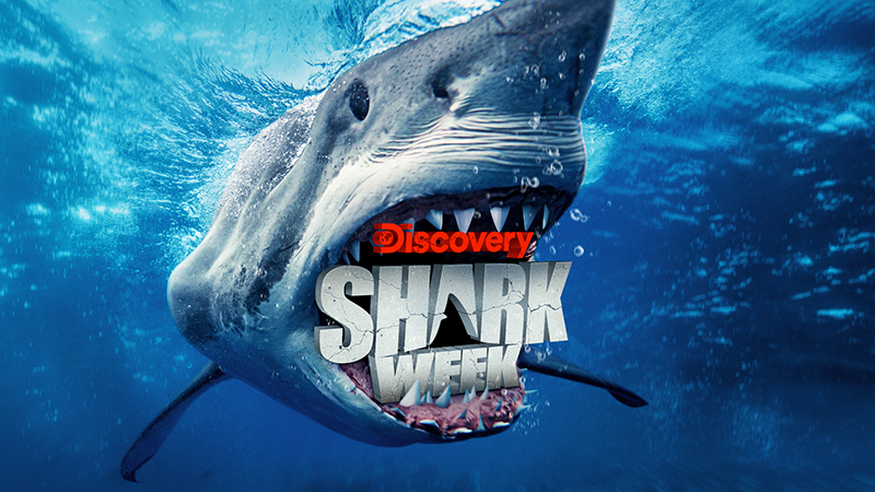 Shark Week is Back: Schedule, Preview and More