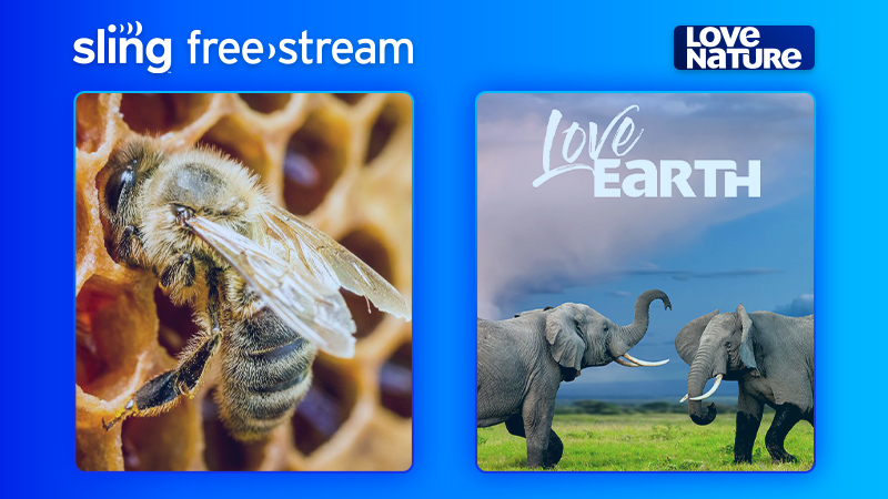Read the Latest of What's Streaming on Sling Freestream